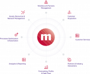 Utility management software: solutions for energy, telecom & other services